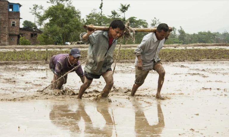 11 symbolic meanings of dreaming of mud – Dream Psychological