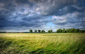 20 symbolic meanings of dreaming of strong winds – Dream Psychological