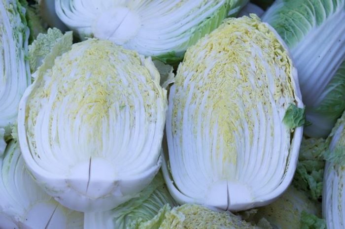 14 symbolic meanings of dreaming of cabbage – Dream Psychological