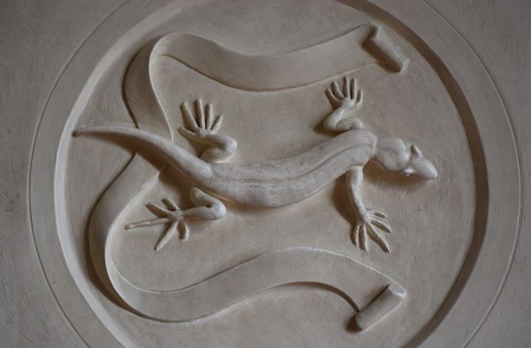7 symbolic meanings of dreaming of salamanders – Dream Psychological